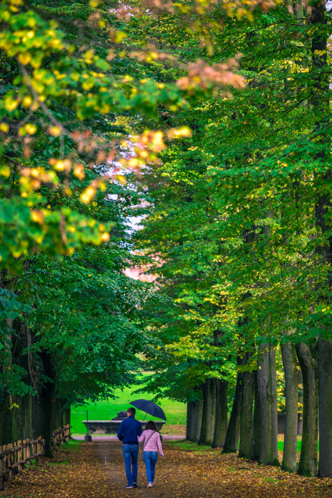Walking - Simone Genovese